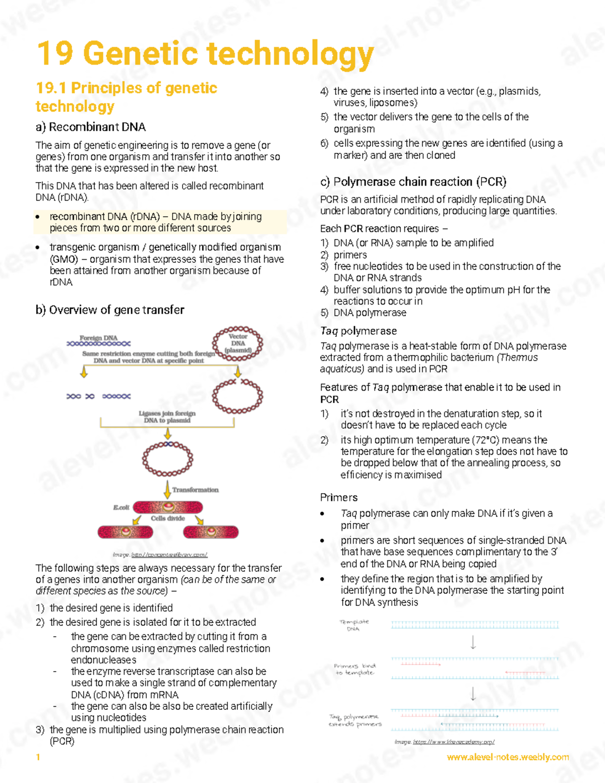 19 genetic technology - Biology Past Paper Notes - 19 Genetic ...