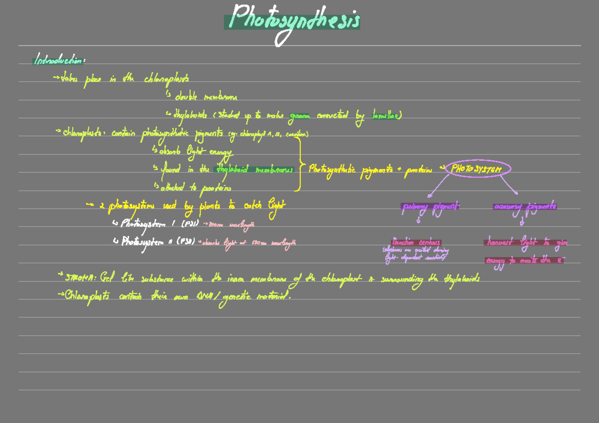 Photosynthesis - Studocu