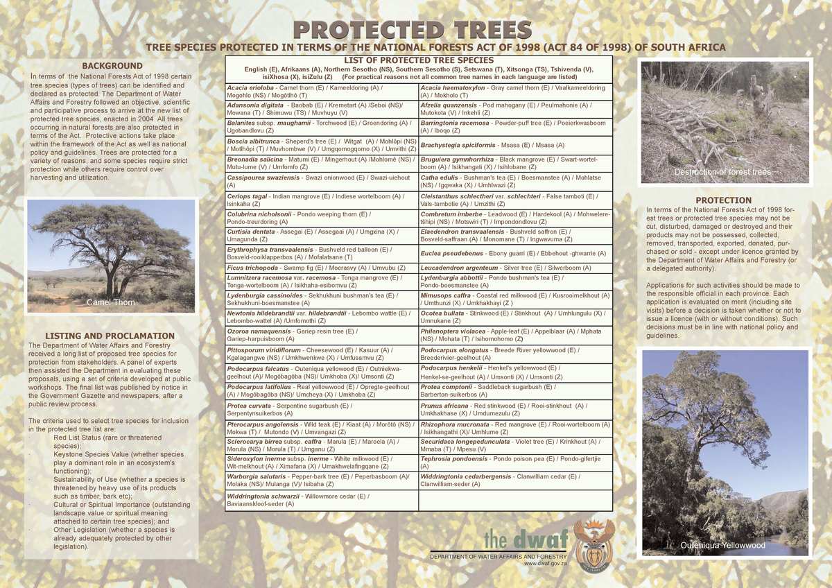 4116 poster protected trees - BACKGROUND In terms of the National ...