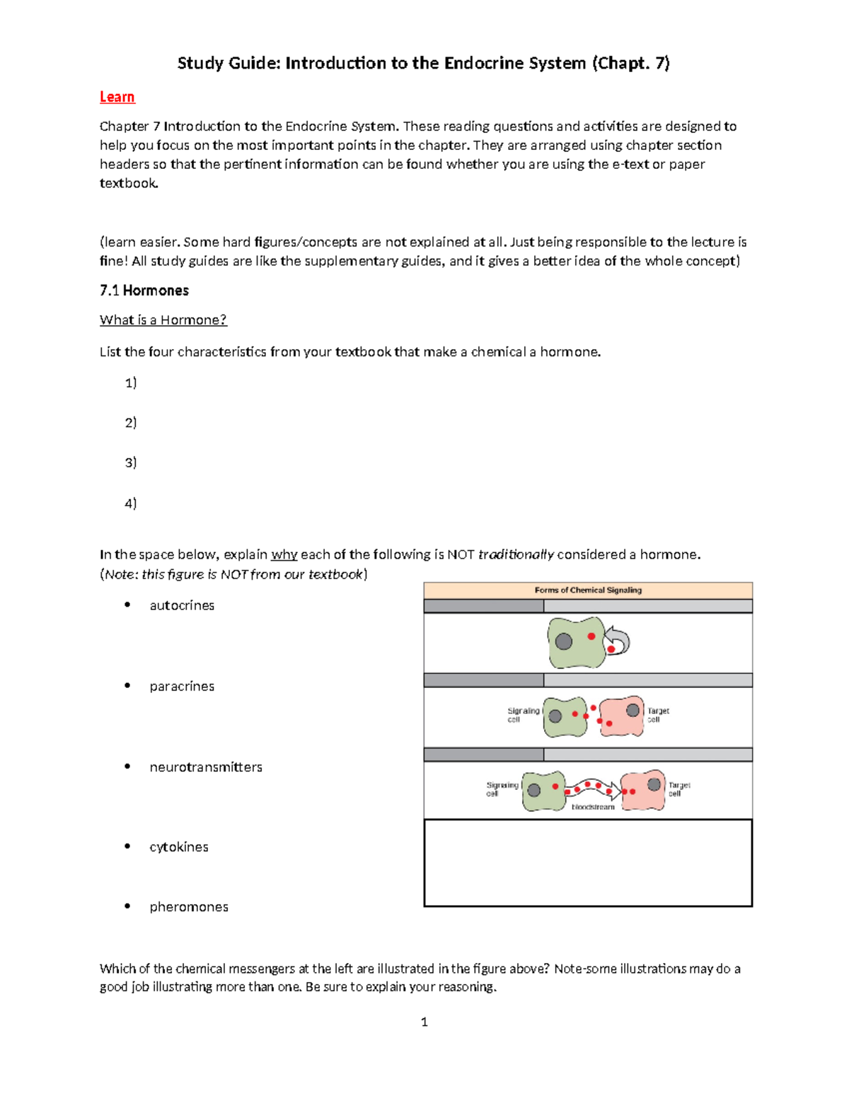Study Guide Intro Endocrine-1 - Study Guide: Introduction to the ...