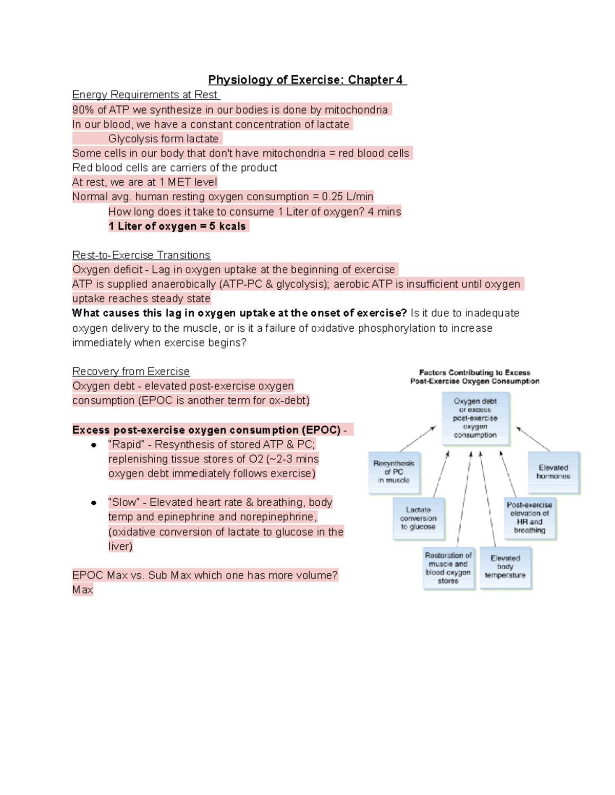 Ch 4 Ex Phys - Chapter 4 Notes - Physiology of Exercise: Chapter 4 ...