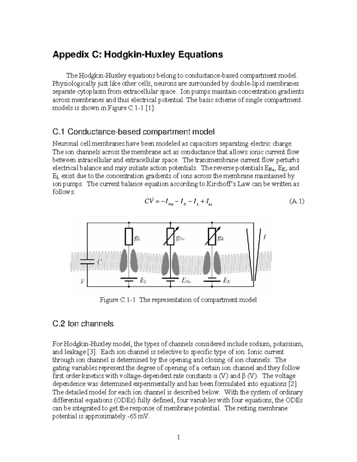 Appendix C Hodgkin-Huxley Equations - Physiologically just like other ...