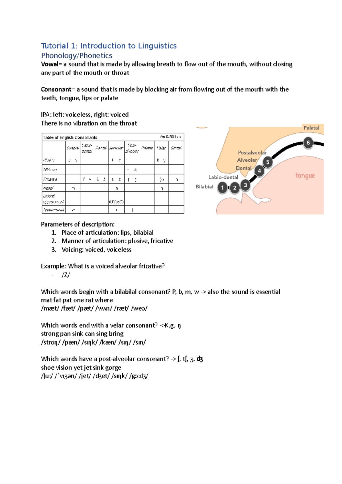 Tutorial 1 - Tutorial 1: Introduction to Linguistics Phonology ...