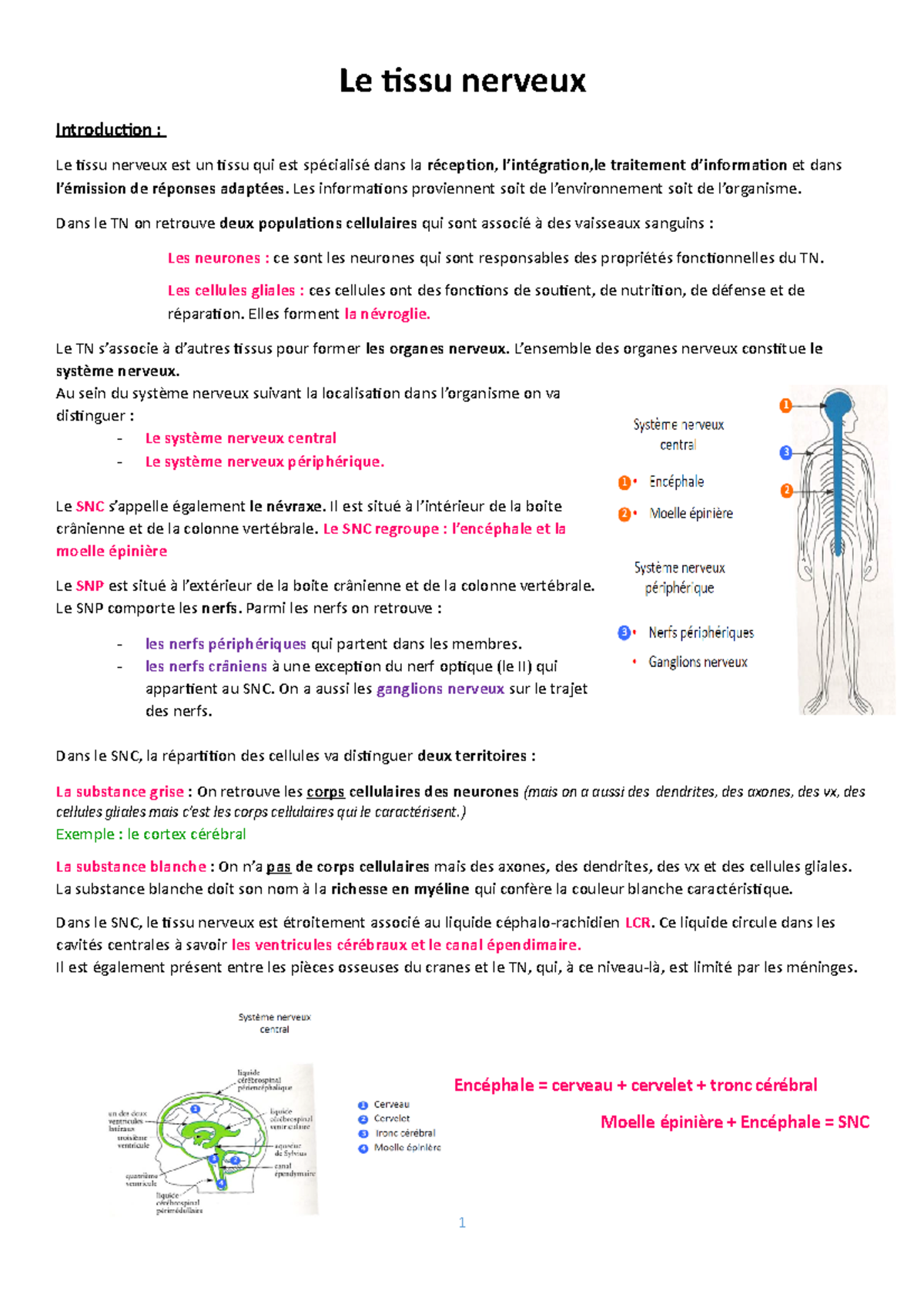 Le tissu nerveux - Les informations proviennent soit de l’environnement ...