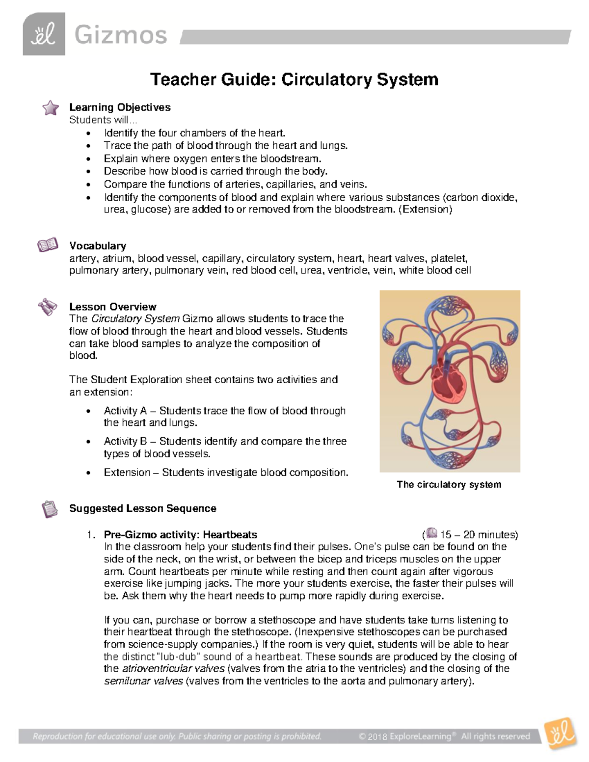 Circulatory System TG - Agshfoamfj - 2018 Teacher Guide: Circulatory System Learning Objectives ...