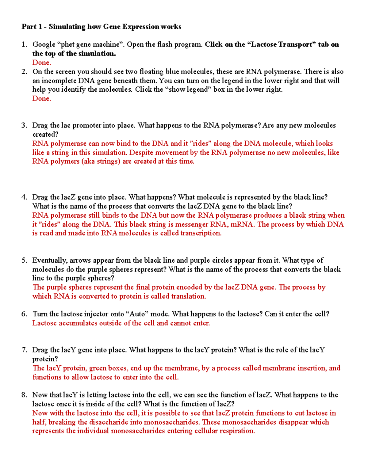 BIOL2303 (Microbiology) Lac operon - Guided Exploration - Answered ...