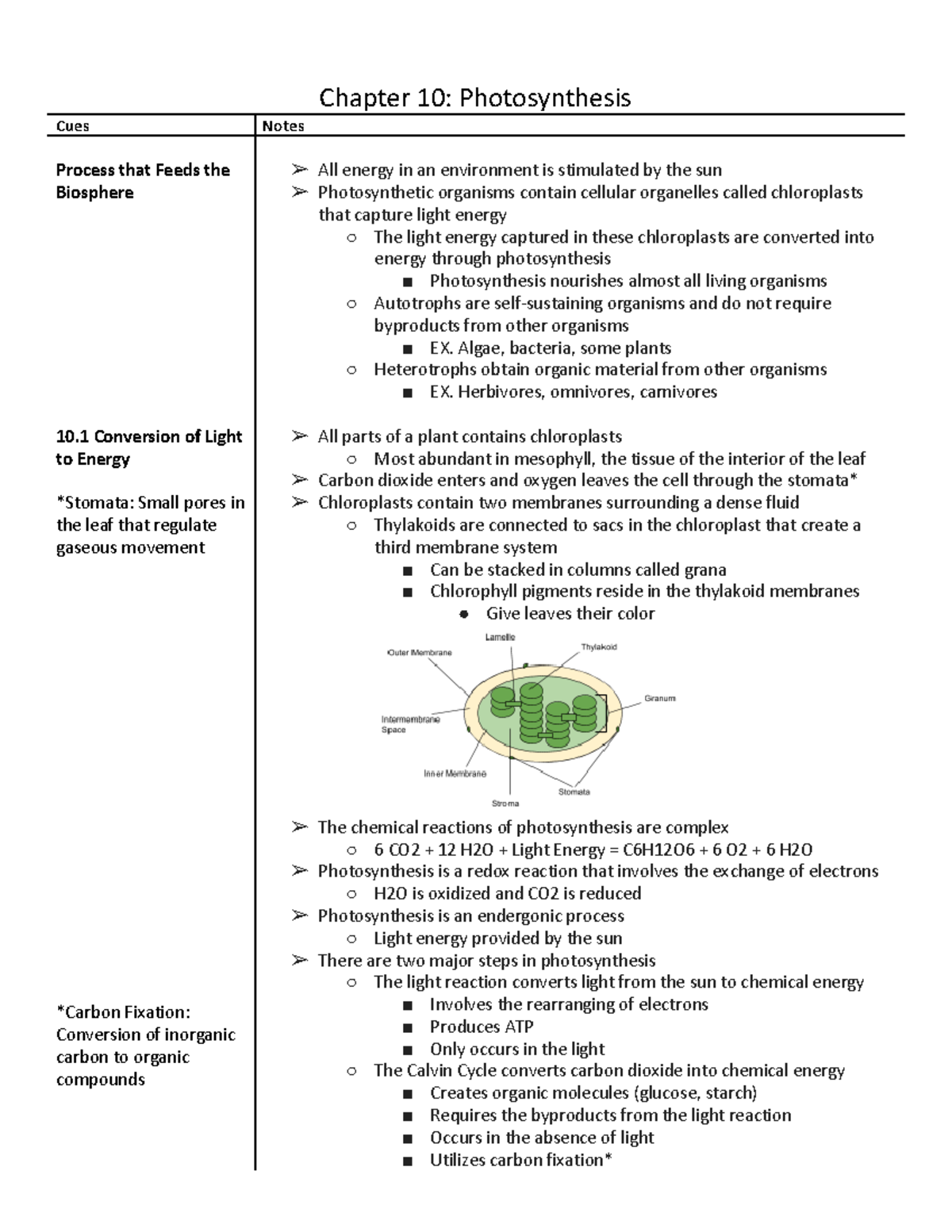 Biology Chapter 10 - Chapter 10: Photosynthesis Cues Notes Process that ...