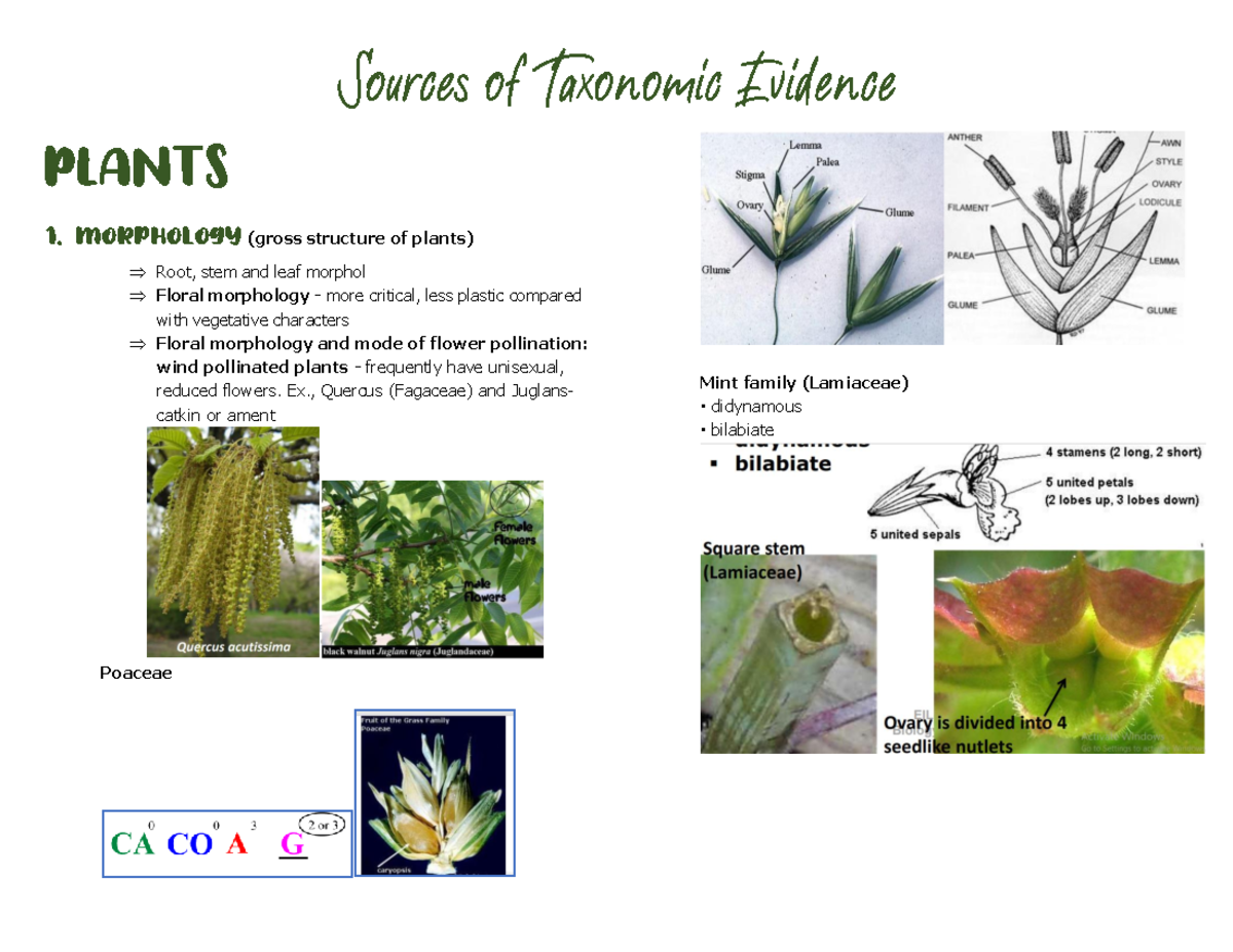 2. Sources of Taxonomic Evidence (colored) - PLANTS 1. morphology ...