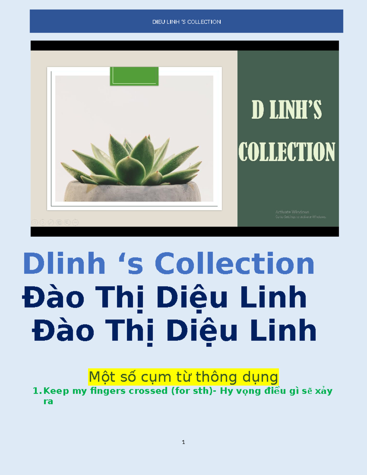 Linh's Collection - Dlinh ‘s Collection Đào Thị Diệu Linh Đào Thị Diệu Linh Một số cụm từ thông ...