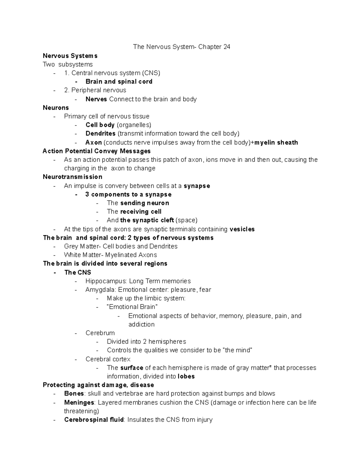 The Nervous System and endocrine system - The Nervous System- Chapter 24 Nervous Systems Two ...