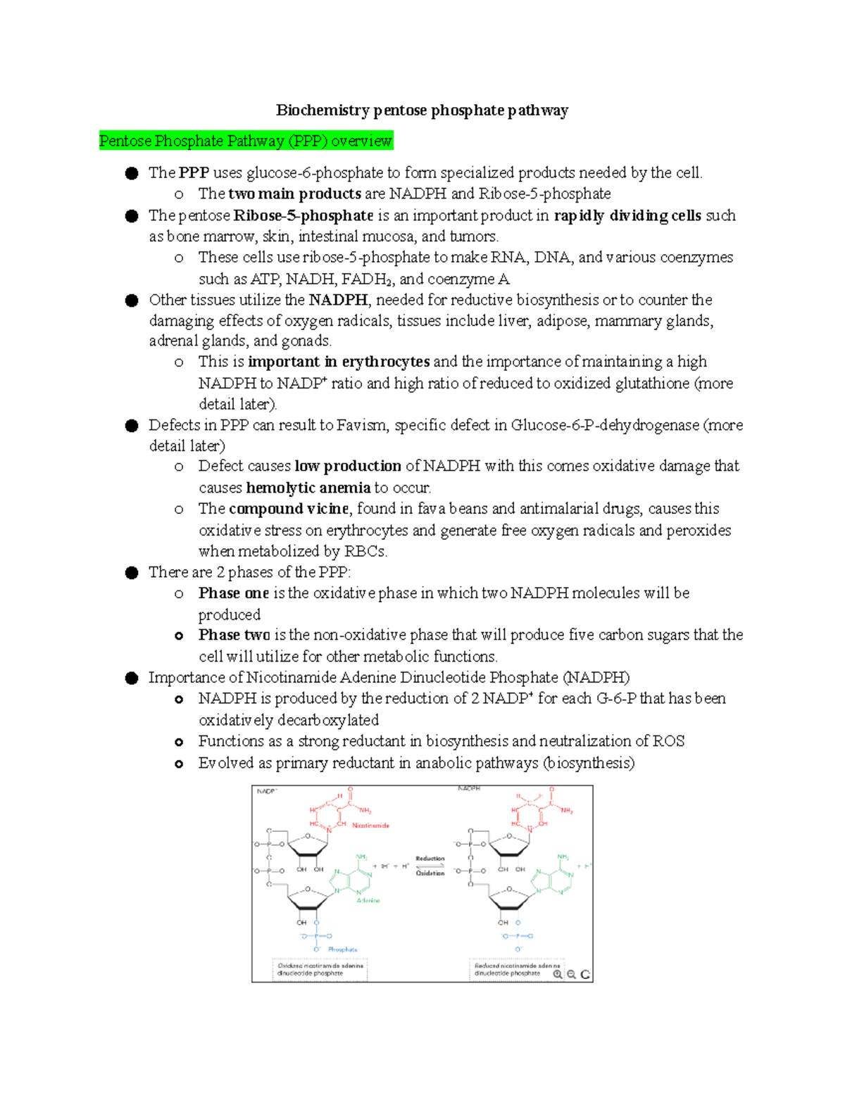 Copy of 11. Biochemistry PPP - Biochemistry pentose phosphate pathway ...