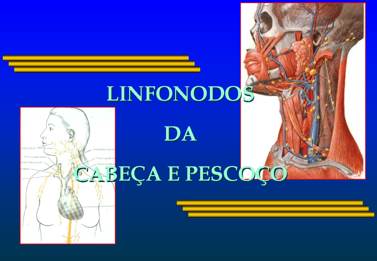 Linfa cabeça - Sistema linfático - LINFONODOS DA CABE«A E PESCO«O ...