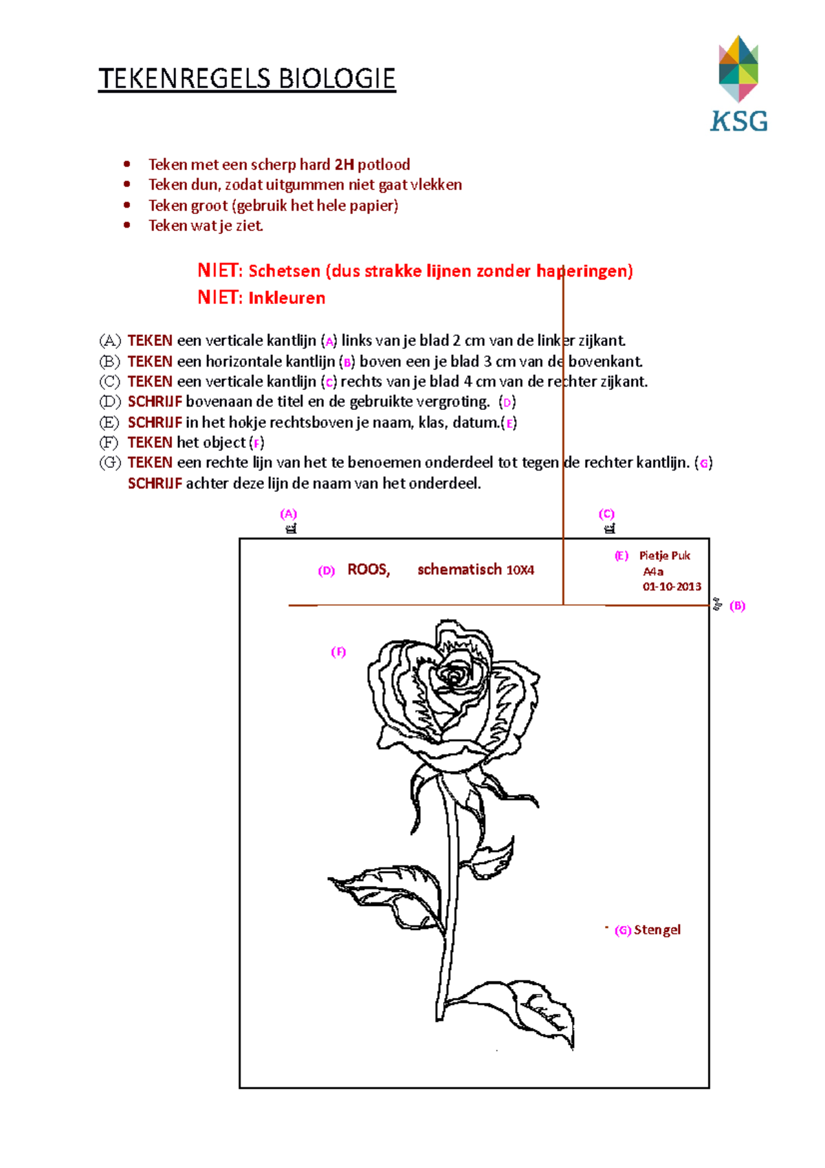 Tekenregels Biologie - TEKENREGELS BIOLOGIE Teken met een scherp hard ...