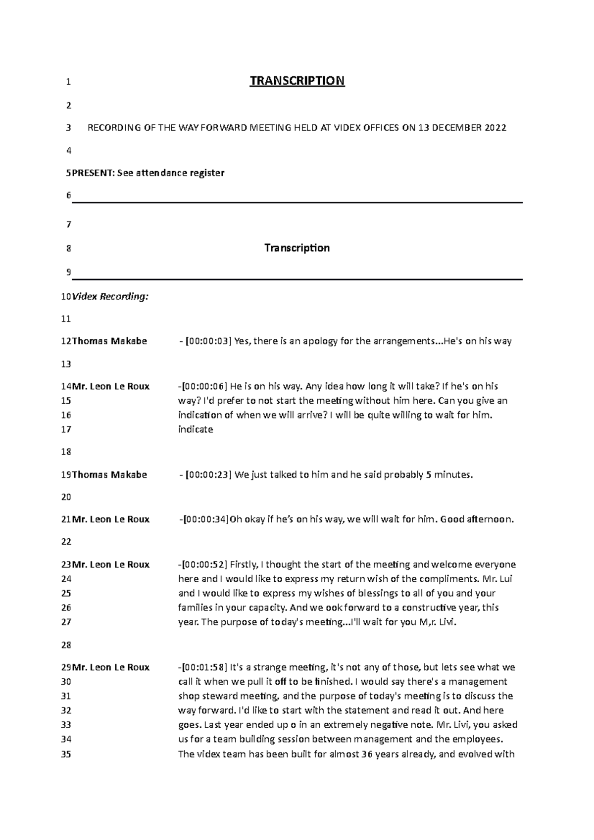 Transcription Videx - I am working at a consultancy part-time ...