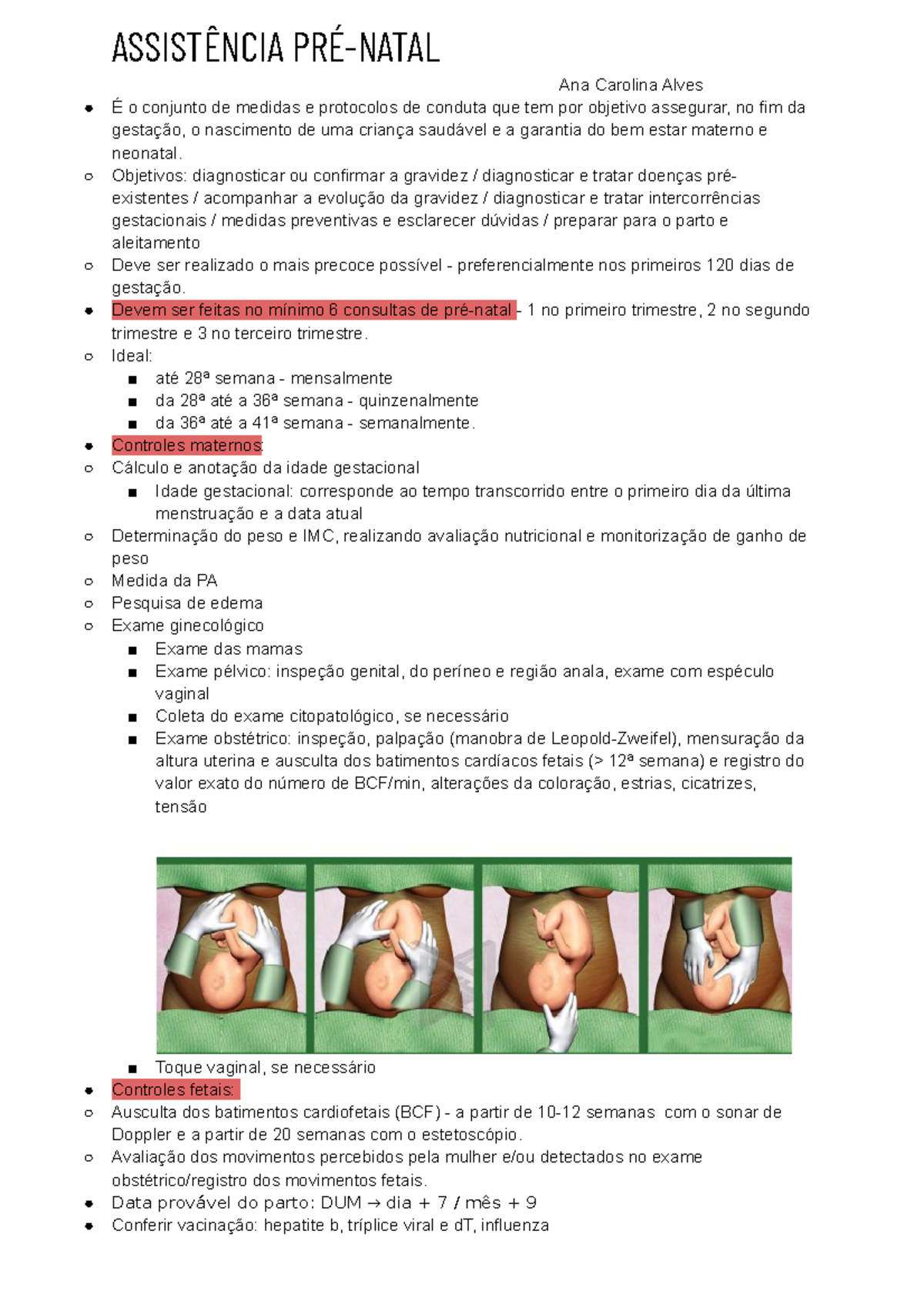 Assitência pré-natal - Resumo com as principais medidas para a ...