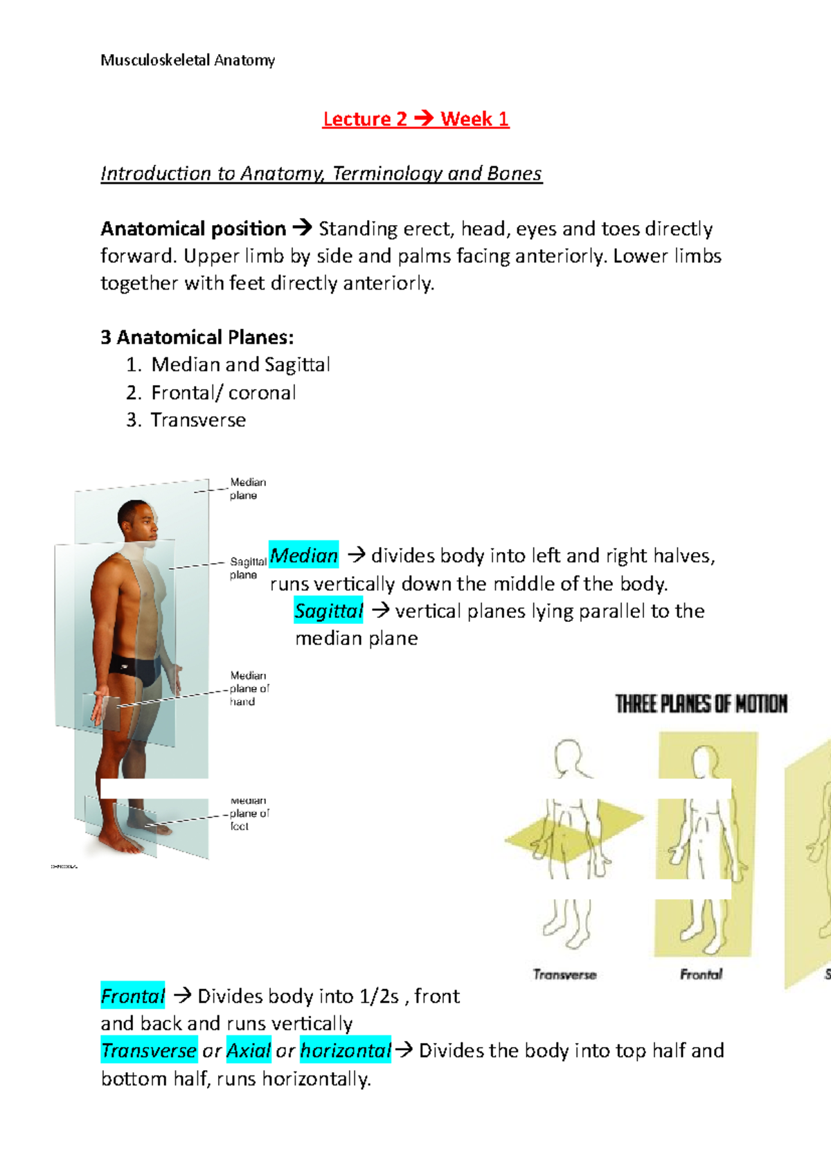 Lecture 2 Notes- terminology and bones - Lecture 2 Week 1 Introduction ...