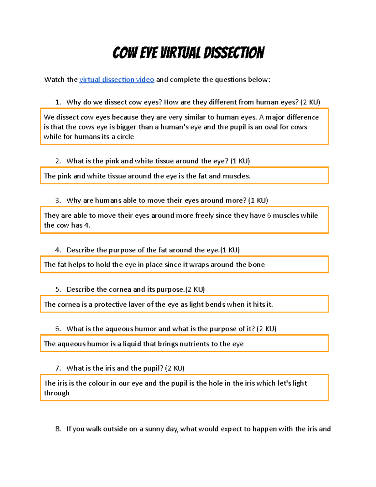 Cow eye virtual dissection - Cow eye virtual dissection Watch the ...