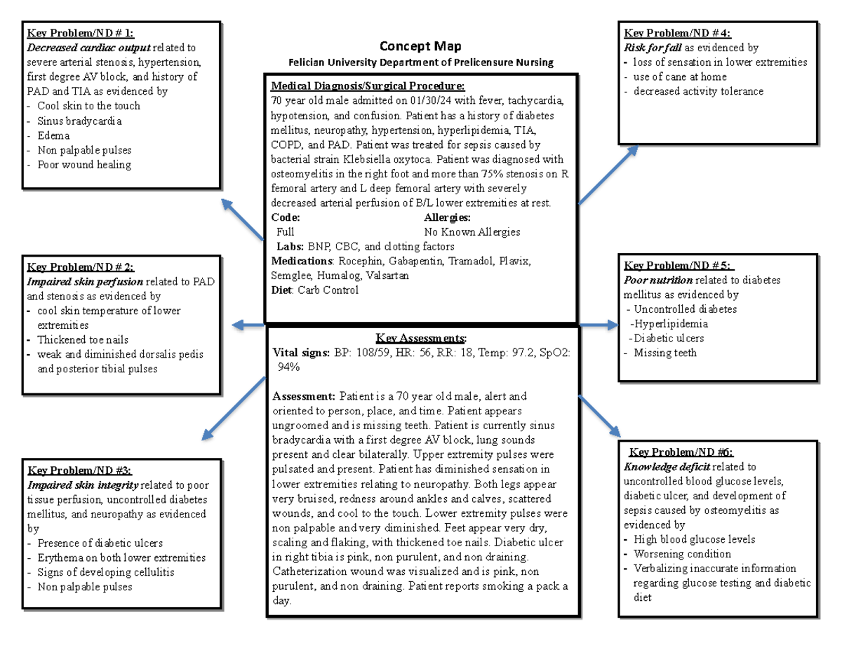 Concept Map Spring 2024 2 - Concept Map Felician University Department ...