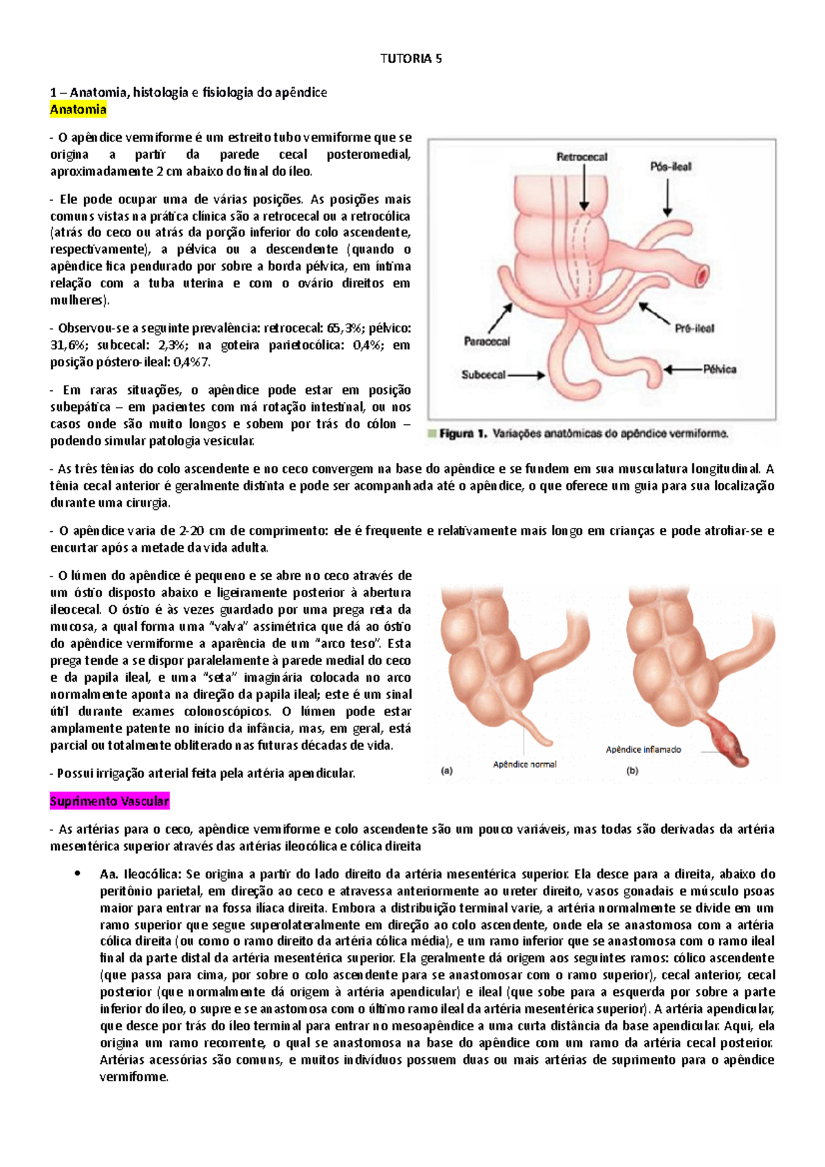 Tutoria 6 - TUTORIA 5 1 – Anatomia, histologia e fisiologia do apêndice ...
