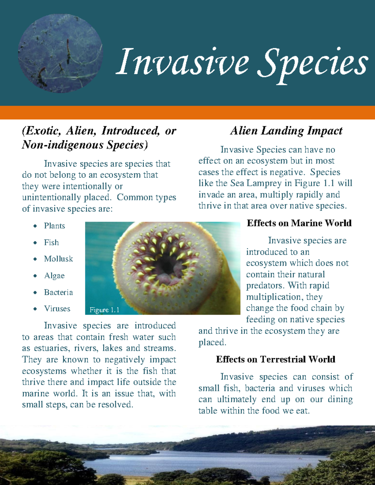 fact sheetsssss - (Exotic, Alien, Introduced, or Non-indigenous Species ...