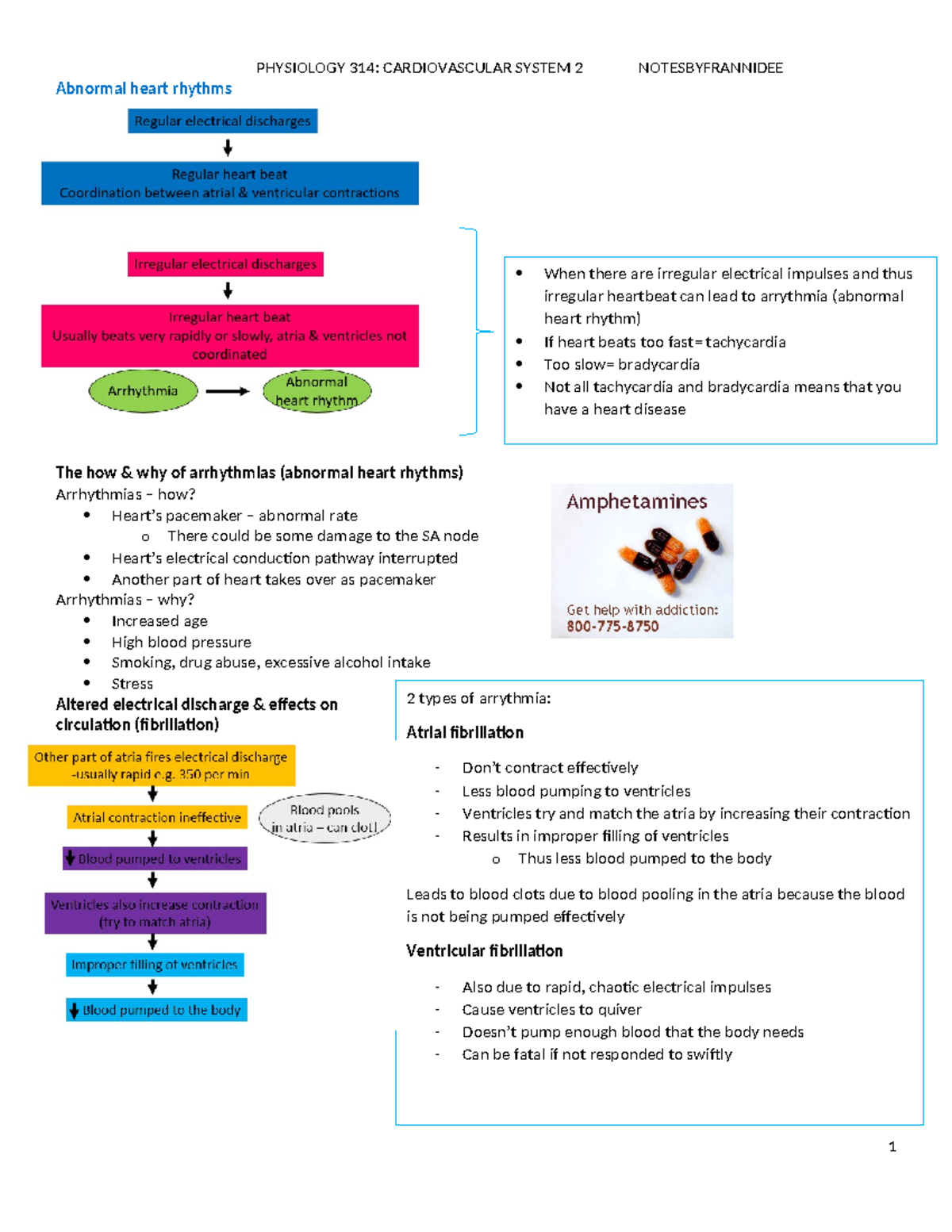 Physiology 314 Cardiovascular System 2 - Abnormal heart rhythms The how ...
