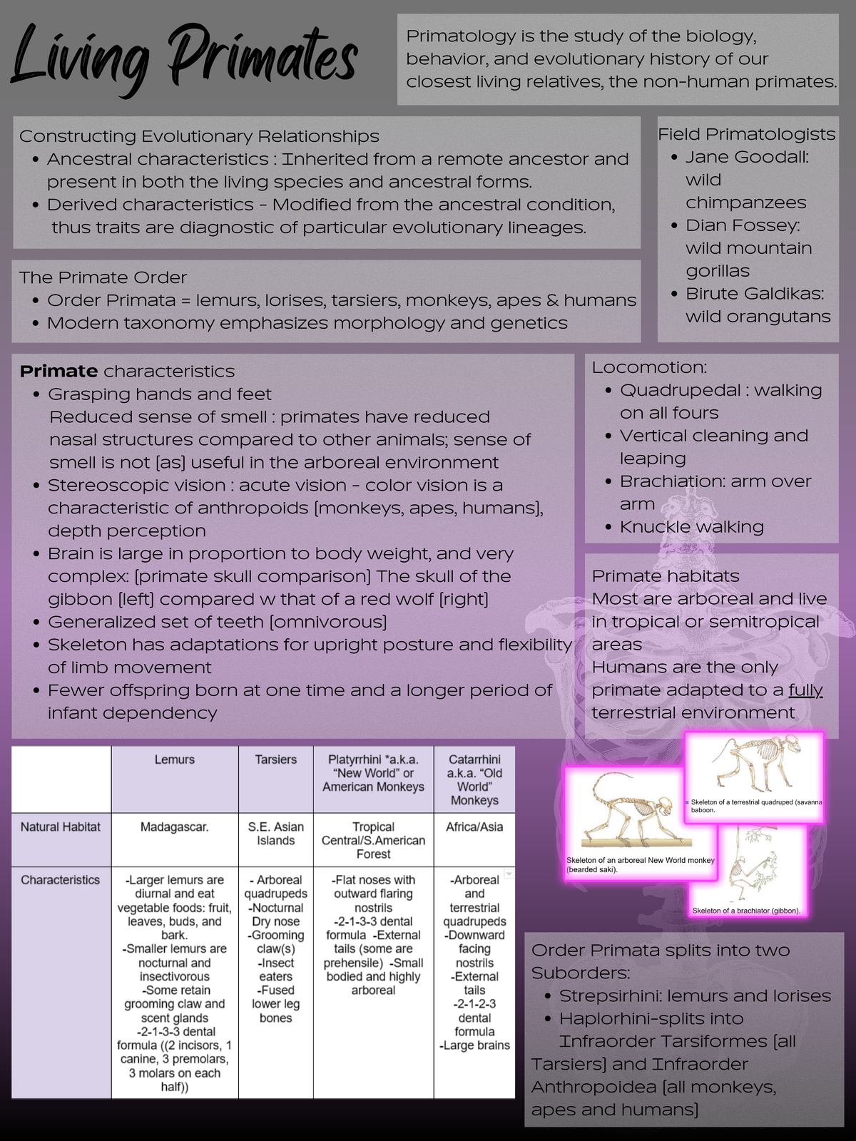 Living Primates - Order Primata = lemurs, lorises, tarsiers, monkeys ...