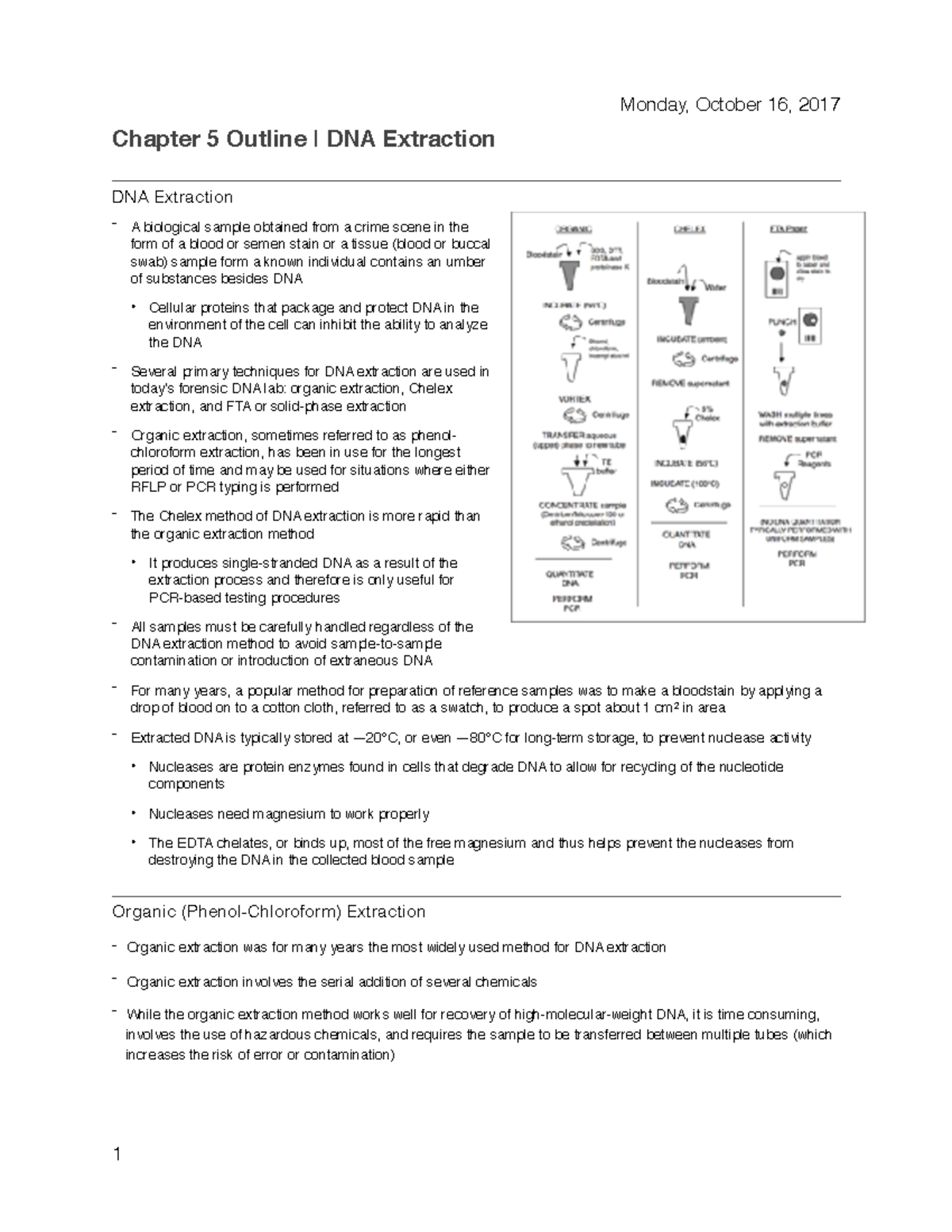 Chapter 5 Outline - Chapter 5 Outline | DNA Extraction DNA Extraction ...