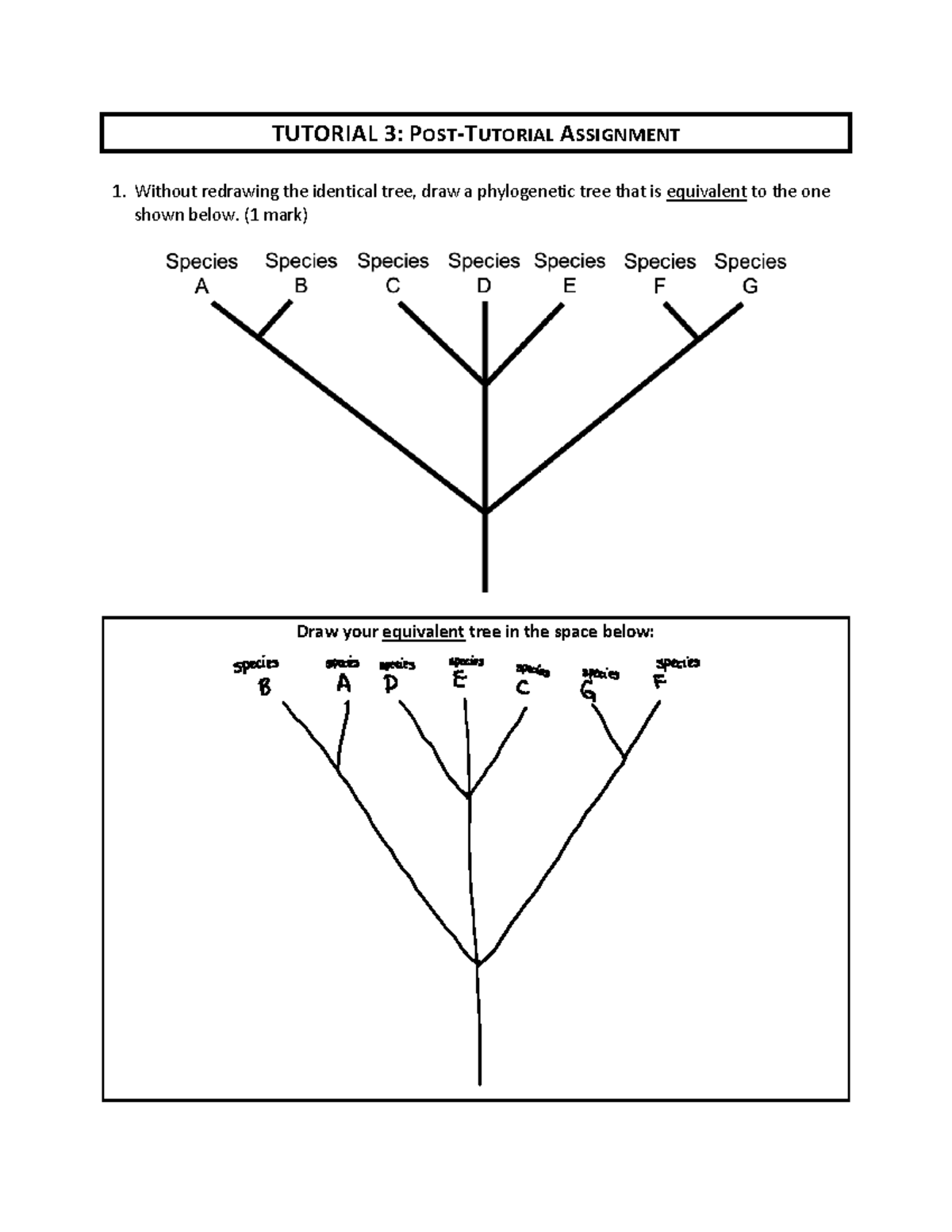 Post Tutorial 3 Assignment W24 Tutorial 3 Post Tutorial Assignment Without Redrawing The