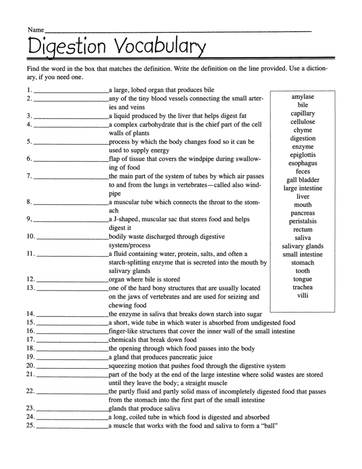 &&Digestion Vocabulary - Write the definition on the line provided. Use ...