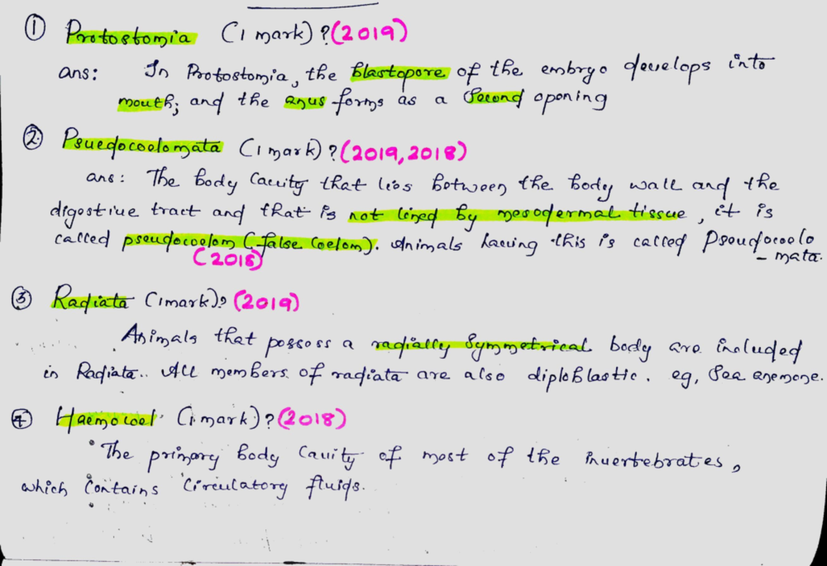 Animalia 1 - Simple notes. Sure questions - Bsc zoology - Studocu