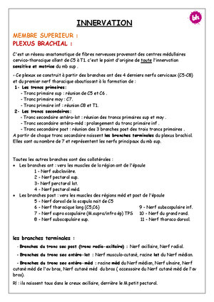 QCM Cytosquelette - medecine - QCM : Cytosquelette Première Partie : 1 ...