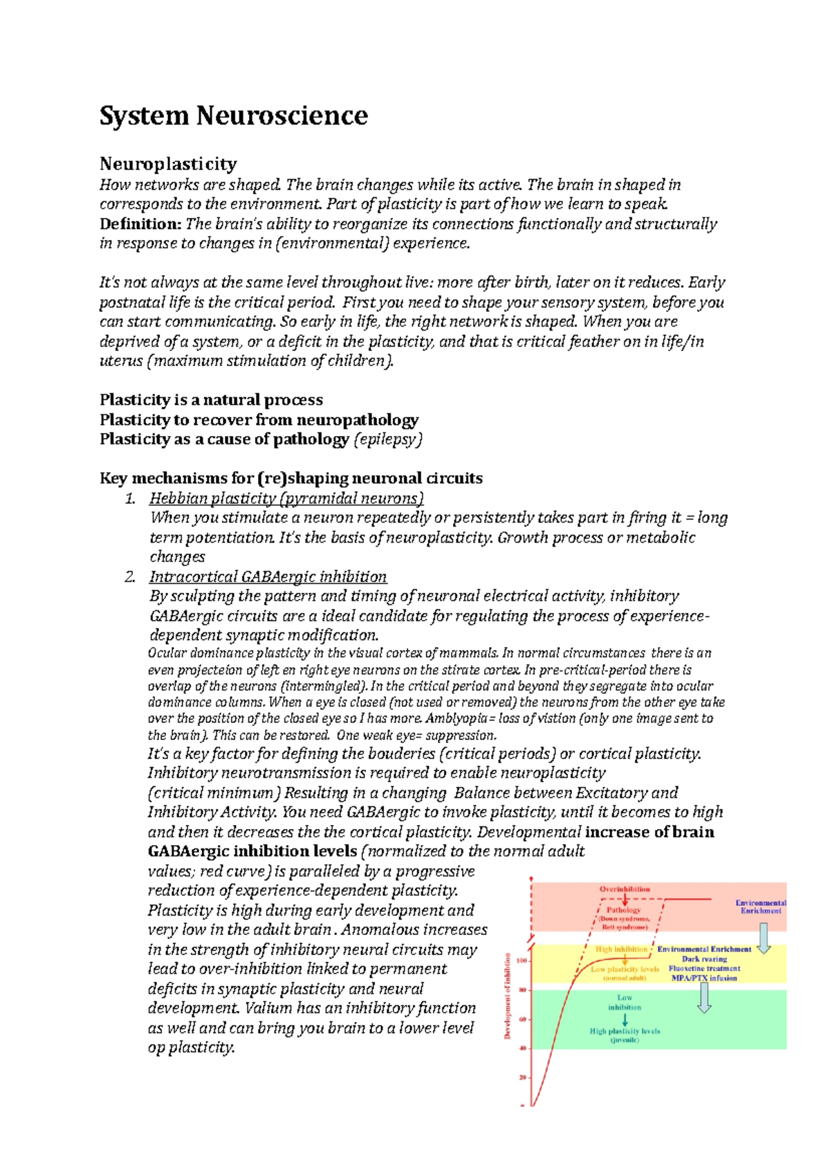 System Neuroscience - System Neuroscience Neuroplasticity How networks ...