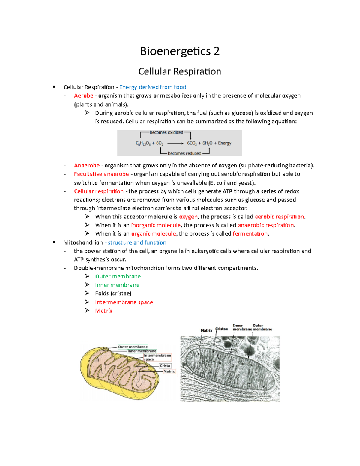 Bioenergetics 2 - Lecture notes 2 - Bioenergetics 2 Cellular ...