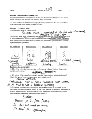CS 250 Module Four Test Cases - Test Case ID: Example # Test Name: Top ...