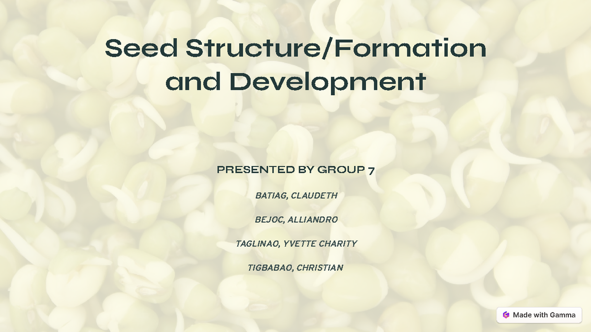 Seed Structure Formation and Development - Seed Structure/Formation and ...