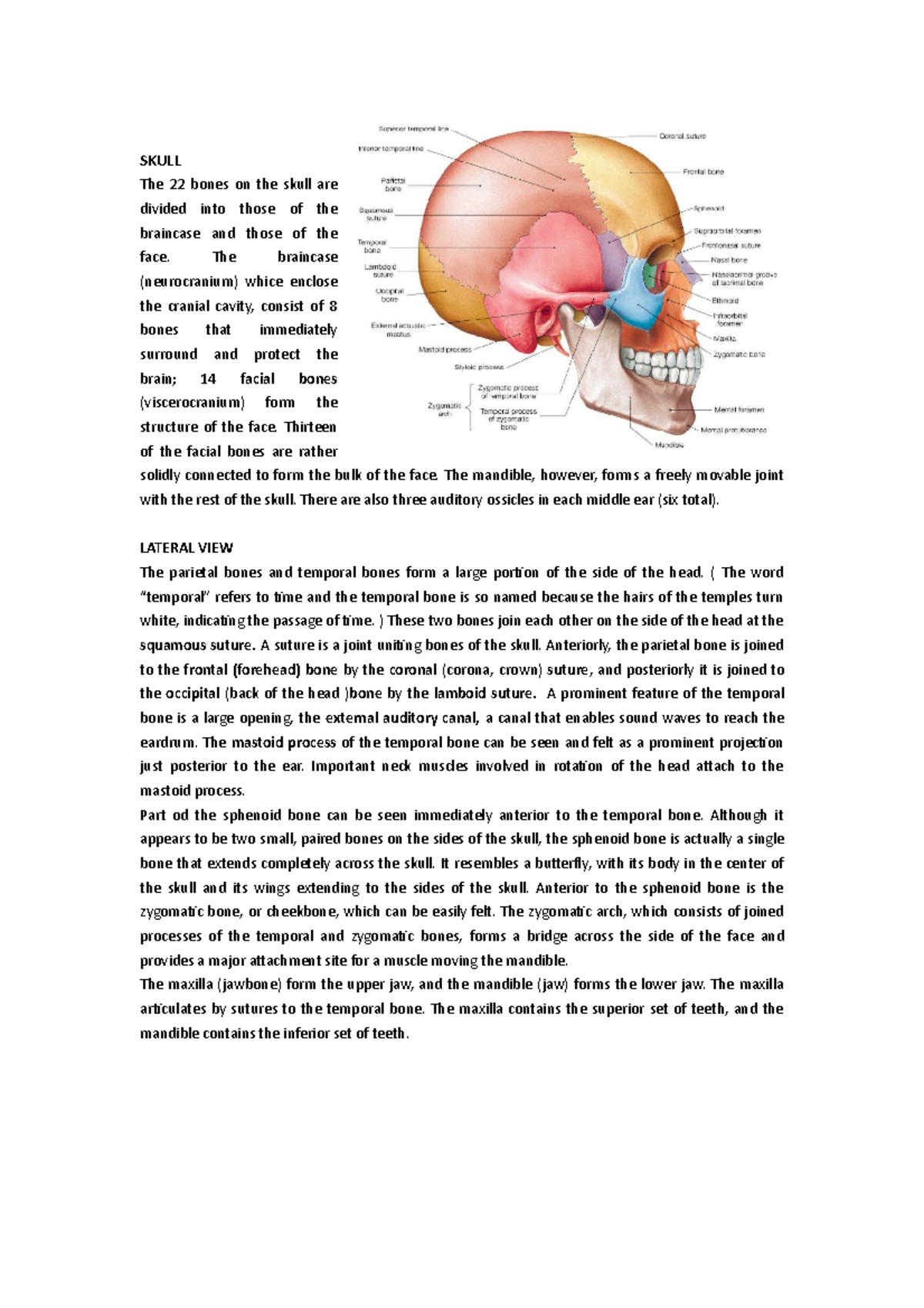 Study About Anatomy and Physiology - ( Bones ) - BS in Medical ...
