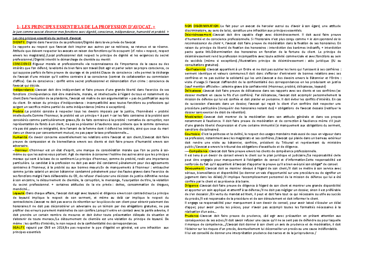 Fiche Damien & Ader - 1- LES PRINCIPES ESSENTIELS DE LA PROFESSION D ...