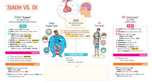 NUR213-Sepsis - sepsis - Sepsis care Bundle within 6 hours -prescribed ...