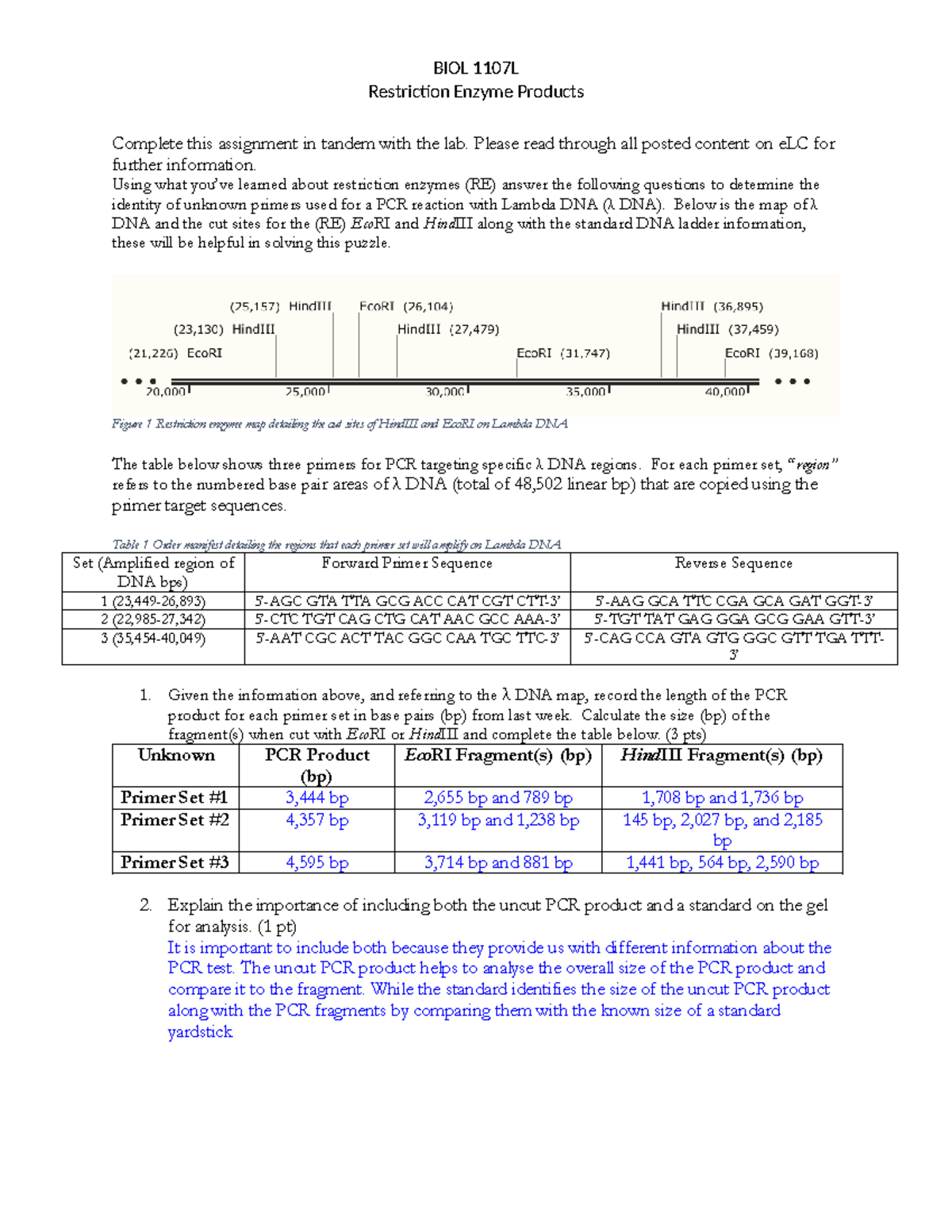 1107L REP - Bio Lab - BIOL 1107L Restriction Enzyme Products Complete ...