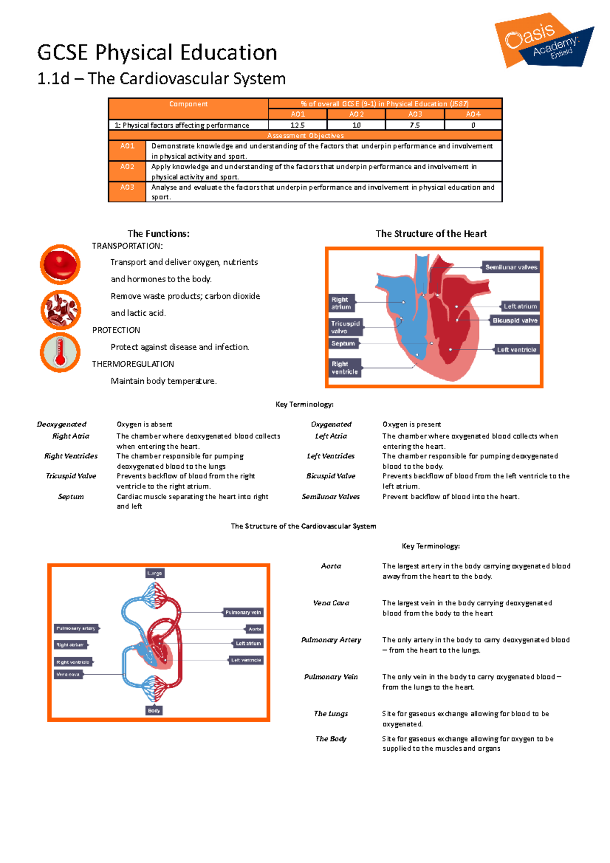 GCSE - 1.1d - CV System - GCSE Physical Education 1 – The ...