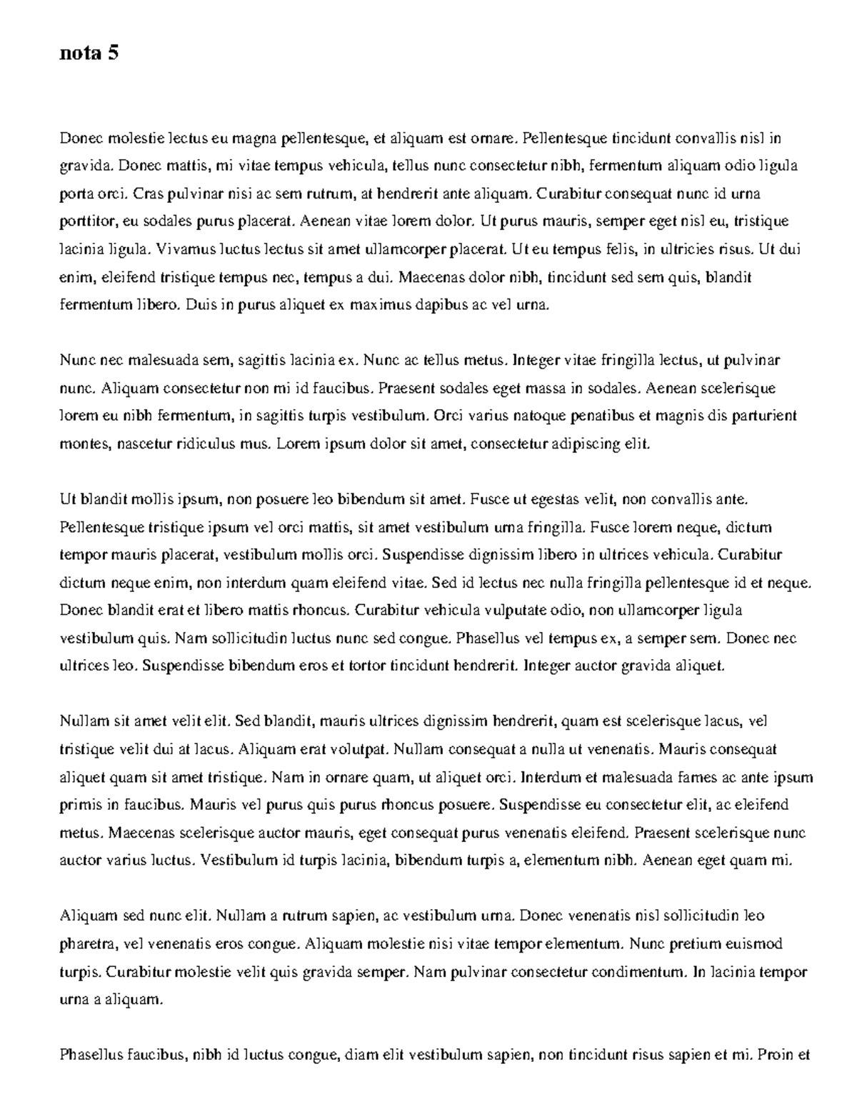 generacion de imagen vectorial - nota 5 Donec molestie lectus eu magna ...