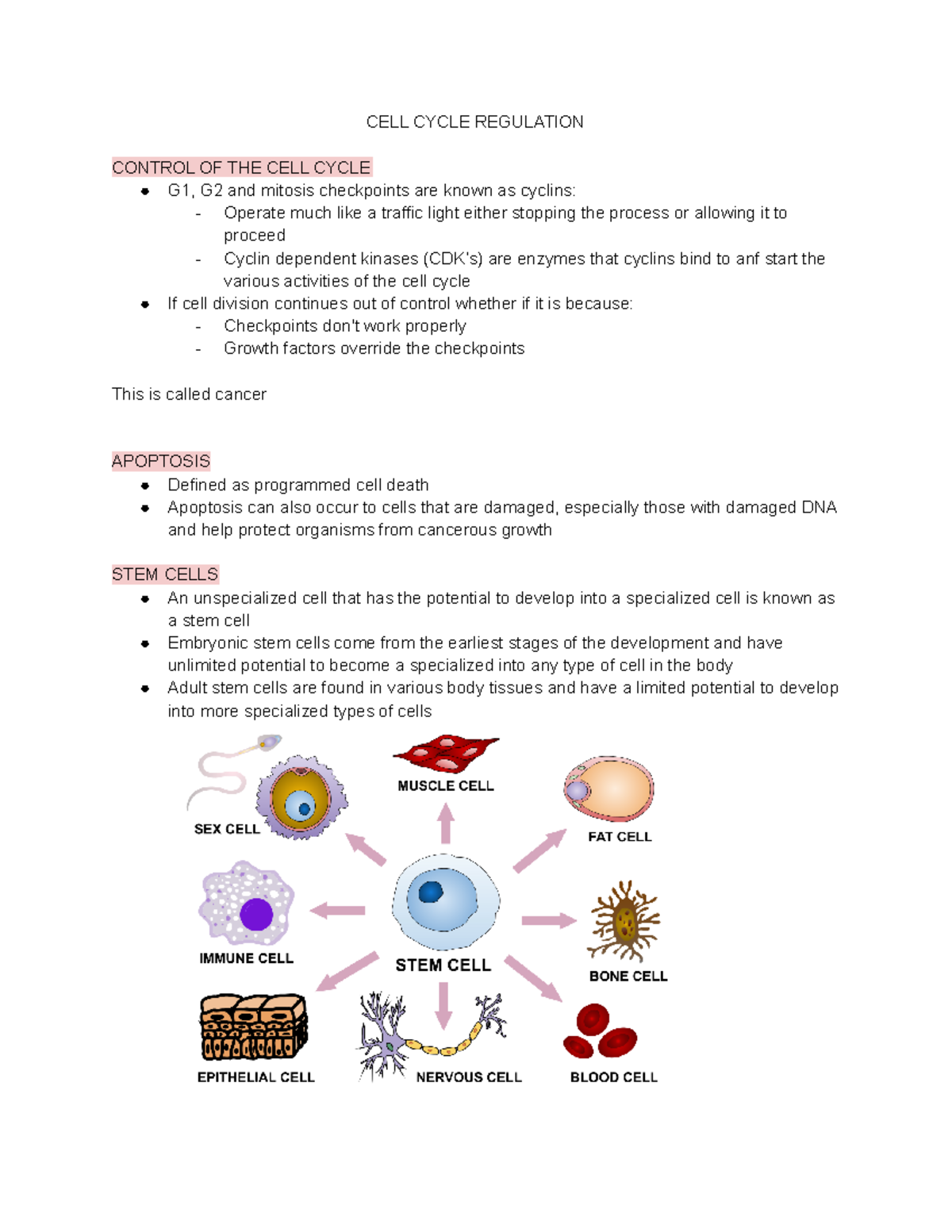 CELL Cycle Regulation - CELL CYCLE REGULATION CONTROL OF THE CELL CYCLE ...