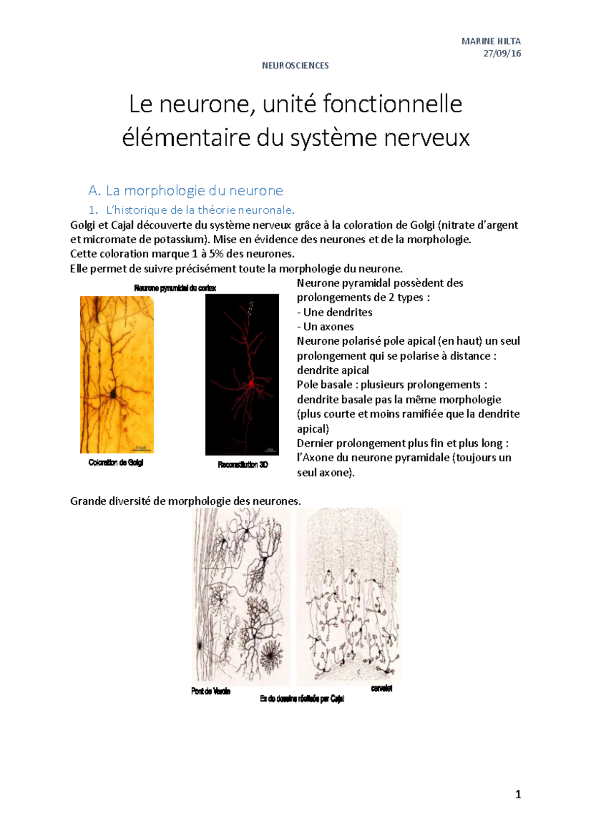 Le Neurone - Note de cours Neuroscience L2 STS Lyon 1 Cours 4 - 27/09 ...