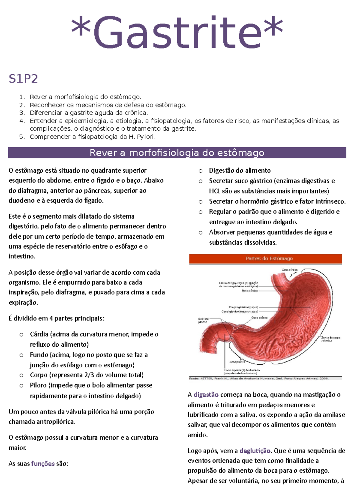 Gastrite S1P2 - APG - Gastrite S1P Rever a morfofisiologia do estômago ...
