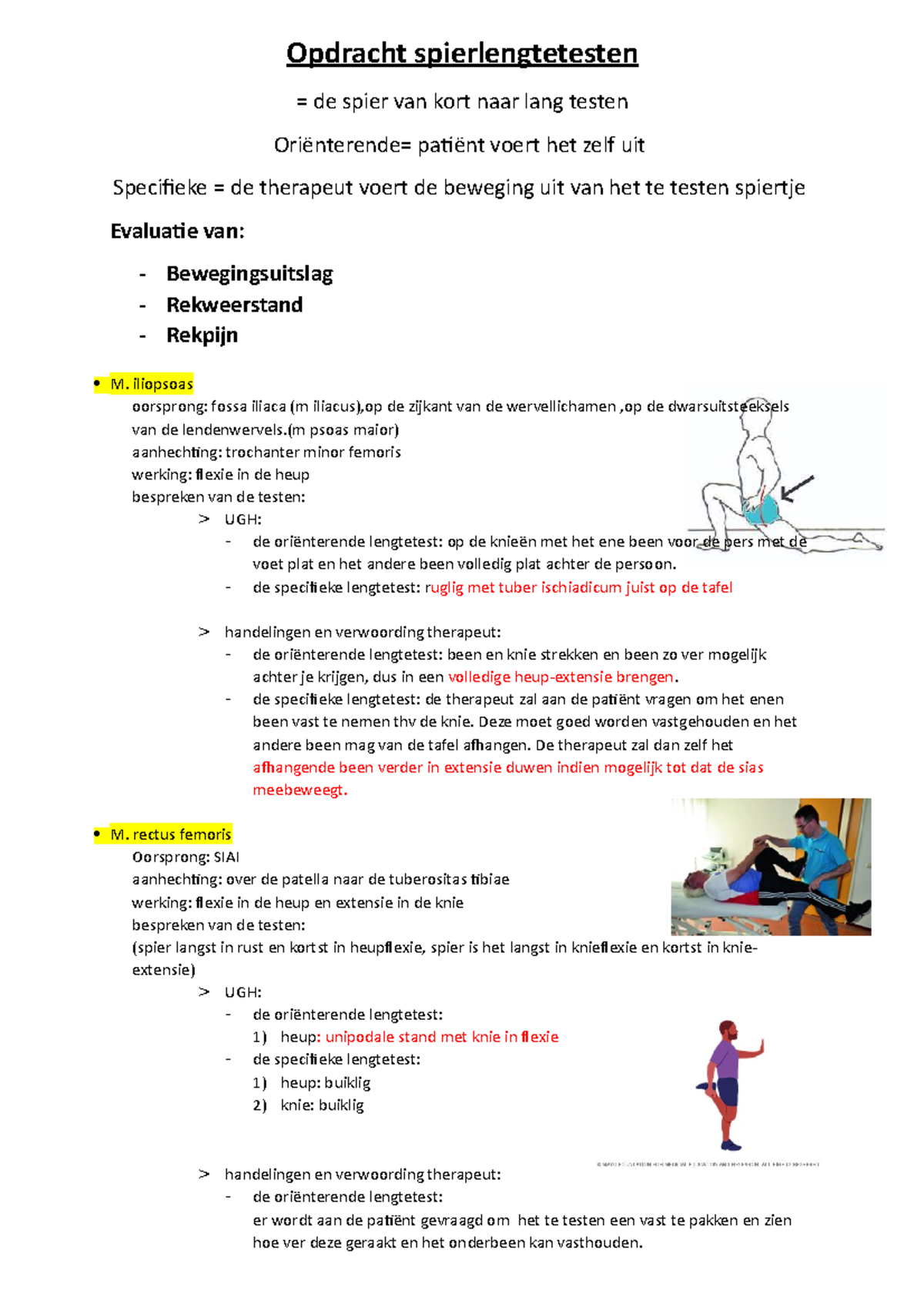 Opdracht-spierlengtetesten - Opdracht spierlengtetesten = de spier van ...