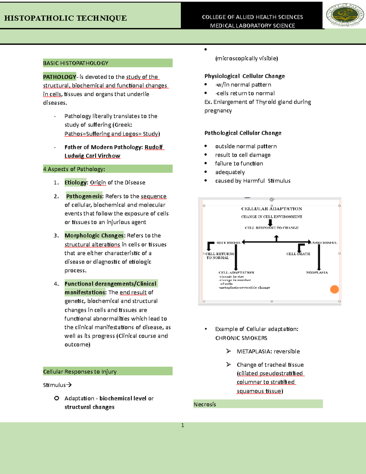 Histopat - MEDICAL LABORATORY SCIENCE BASIC HISTOPATHOLOGY PATHOLOGY ...