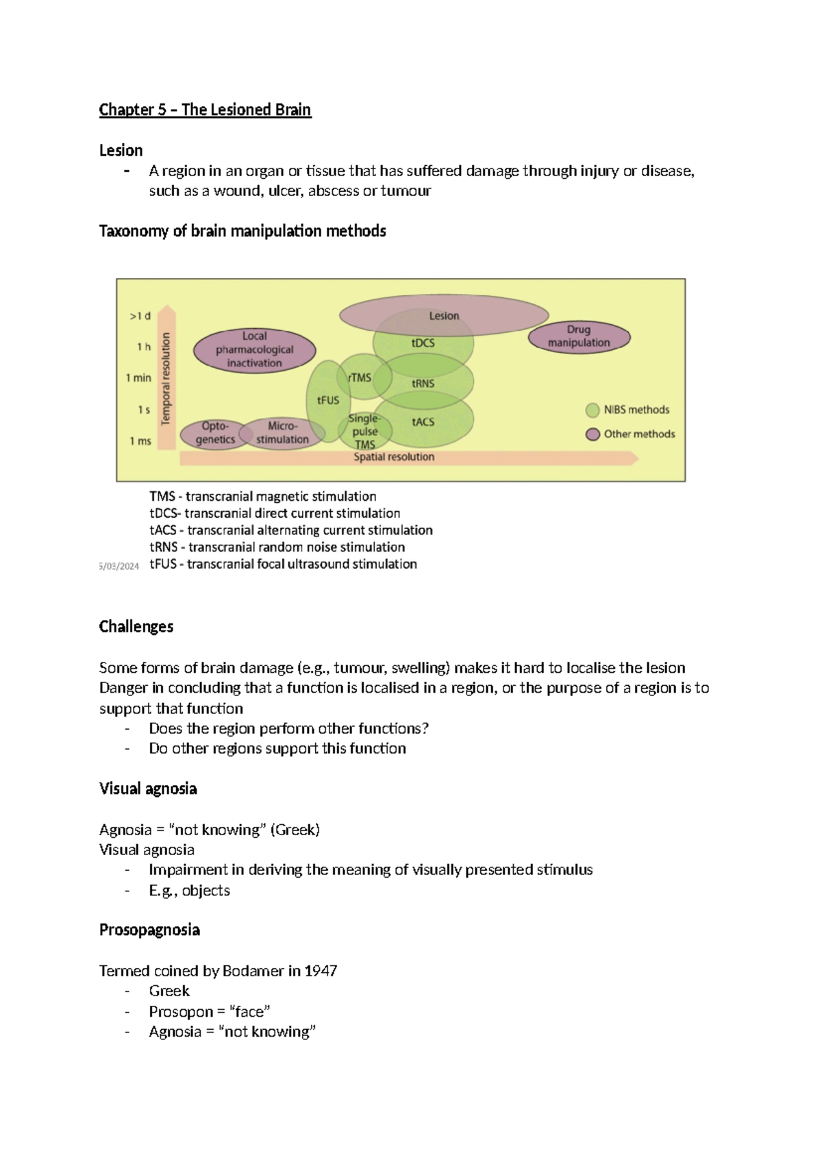 L2 – The Lesioned Brain - Chapter 5 – The Lesioned Brain Lesion - A ...