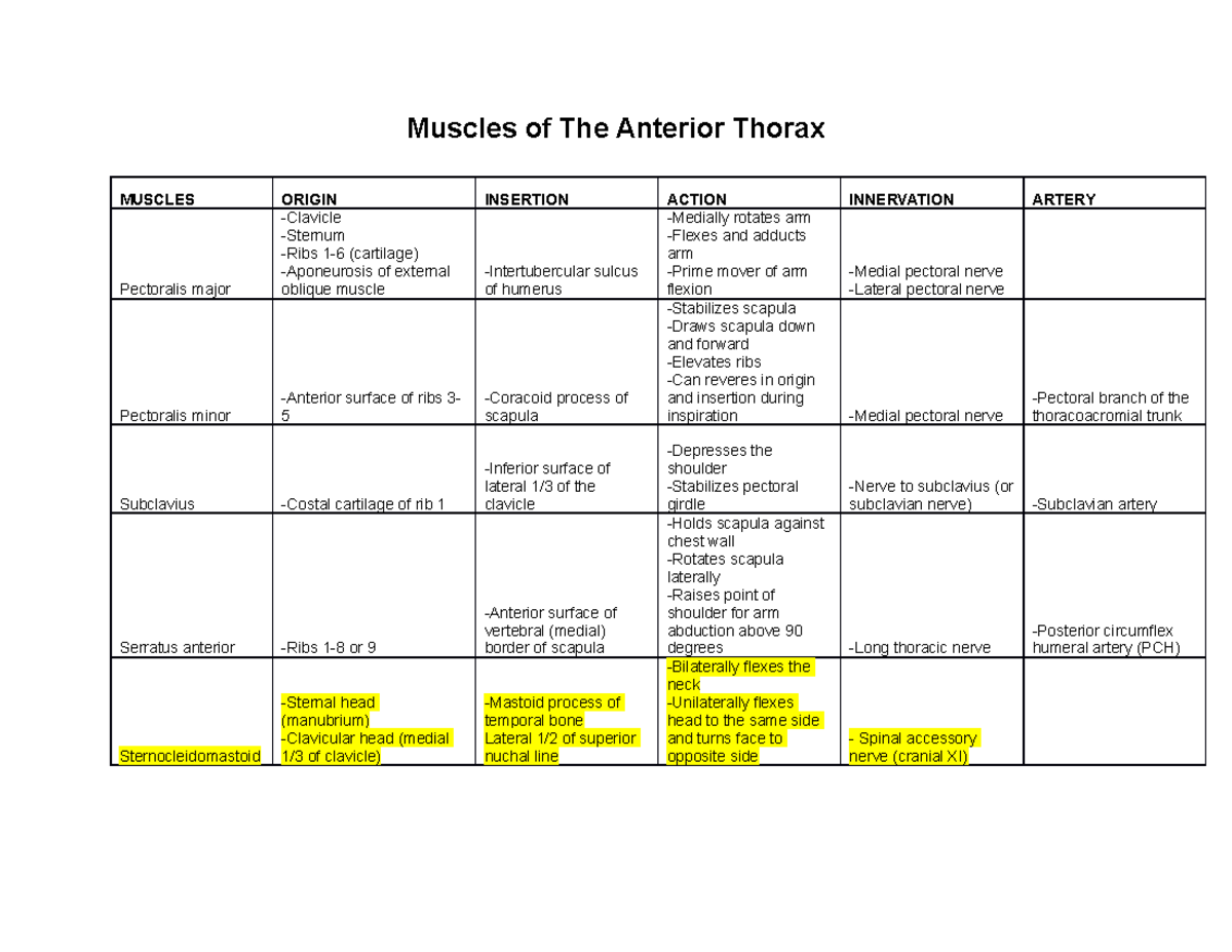 Muscles Study Guide Exam II - Muscles of The Anterior Thorax MUSCLES ...