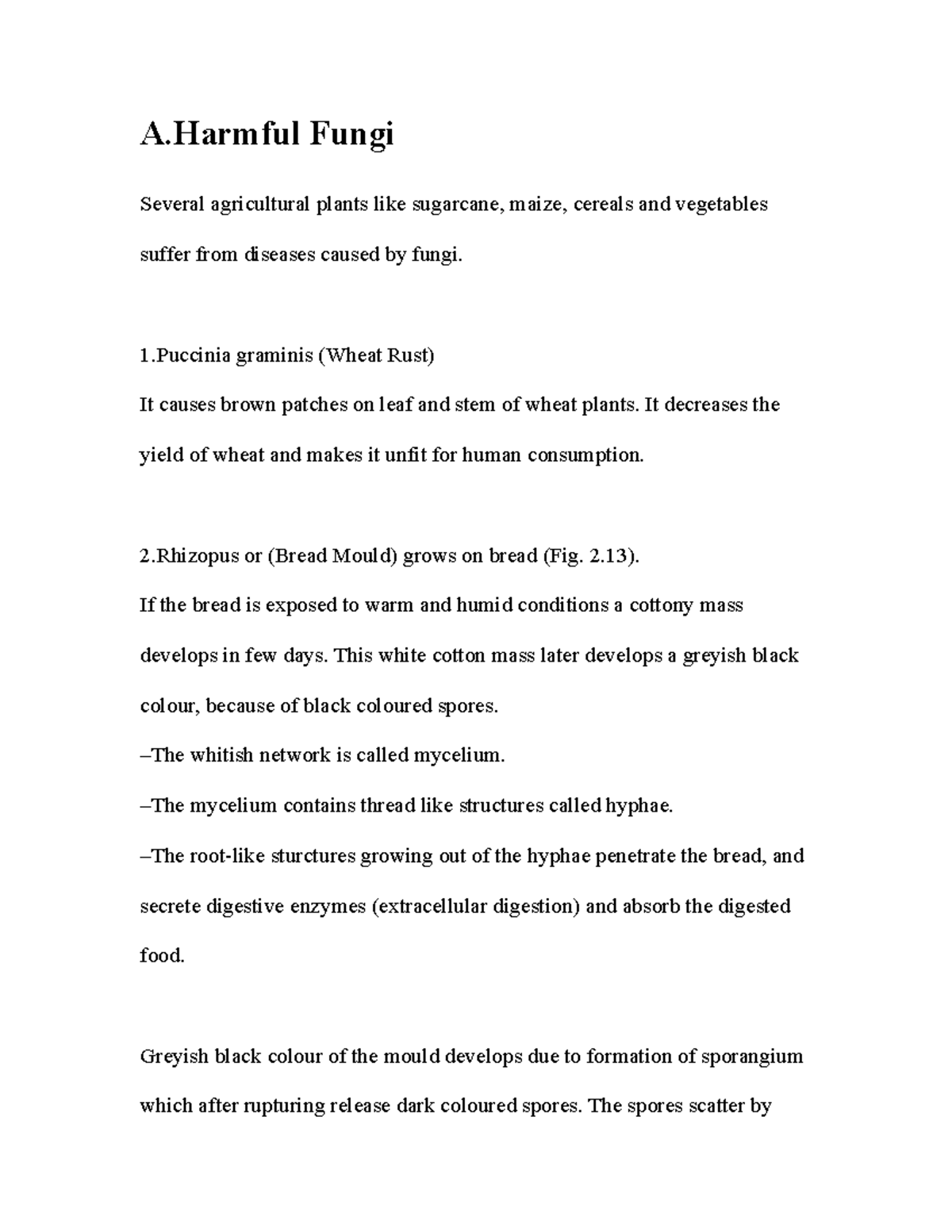 Harmful Fungi - A Fungi Several agricultural plants like sugarcane ...