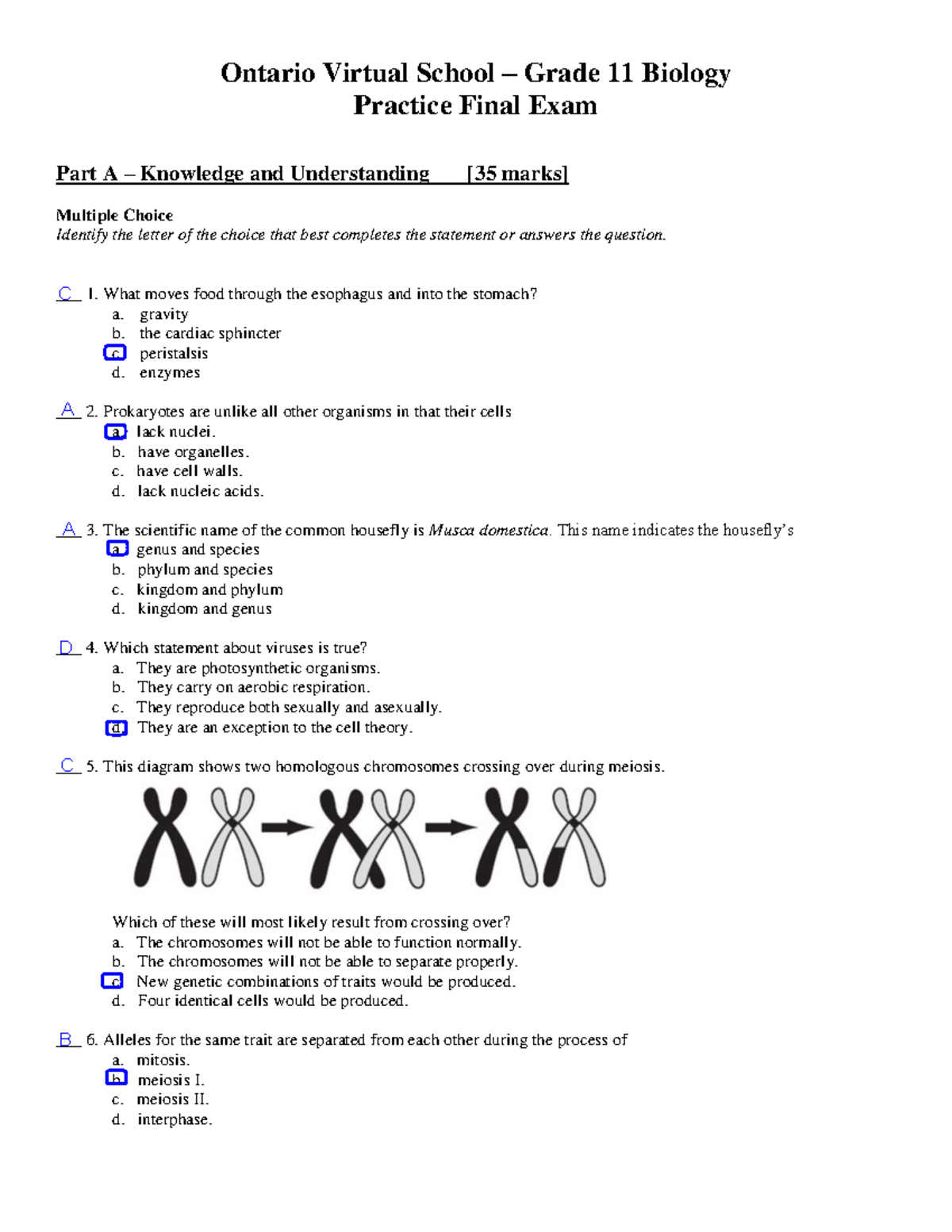 OVS Practice Final Exam - Key - Ontario Virtual School – Grade 11 ...